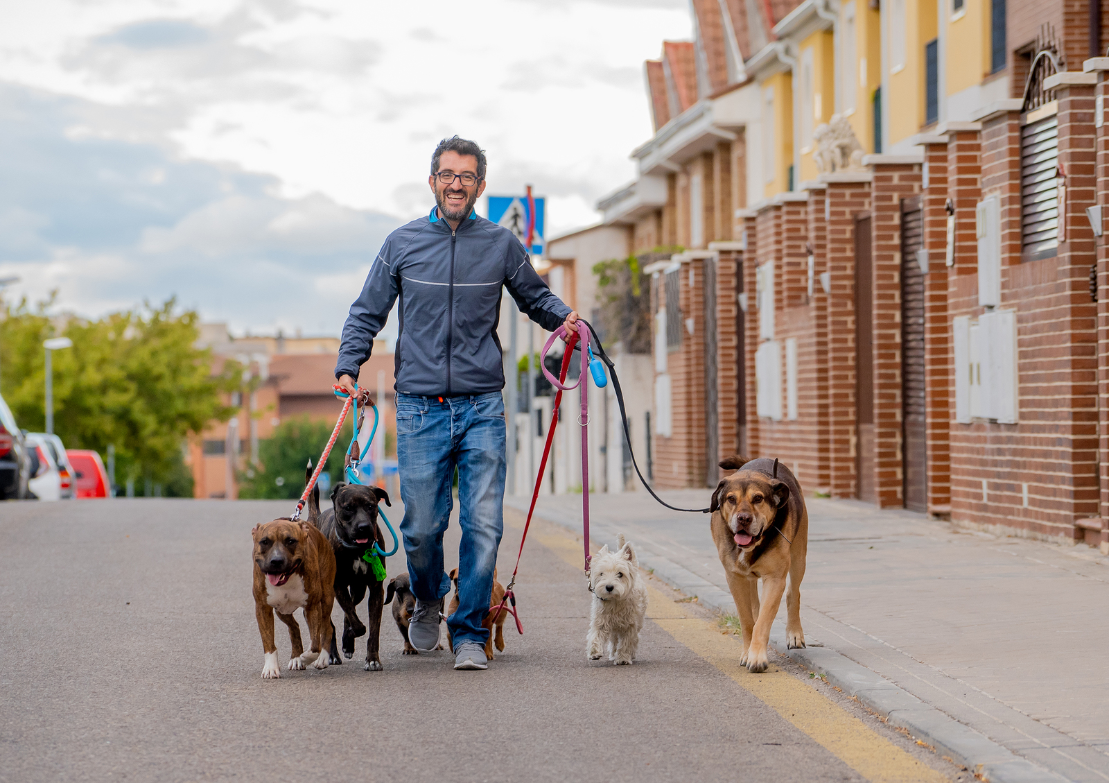 5 Ways To Keep Your Dog Moving HealthyBlog Hub