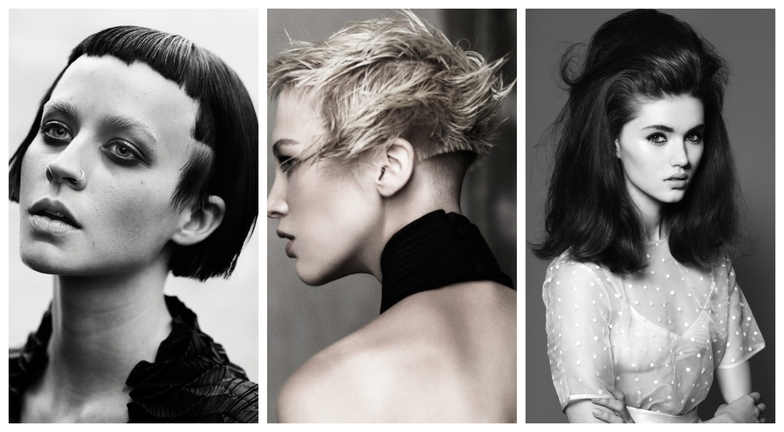 Schedule Your Hair Appointment Today!Blog Hub