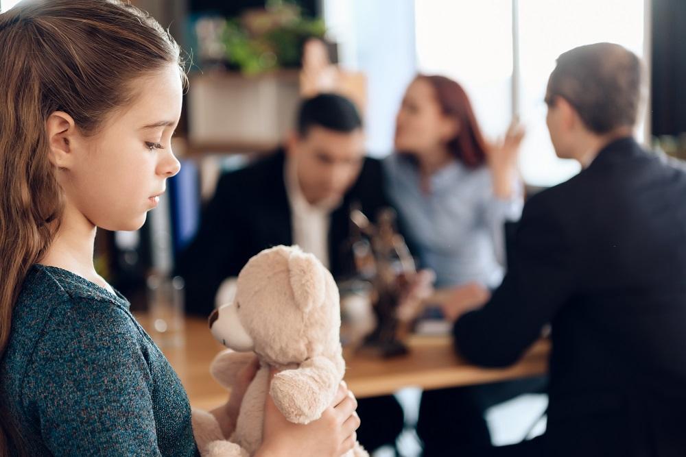 Why would you hire the best child custody lawyers?Blog Hub