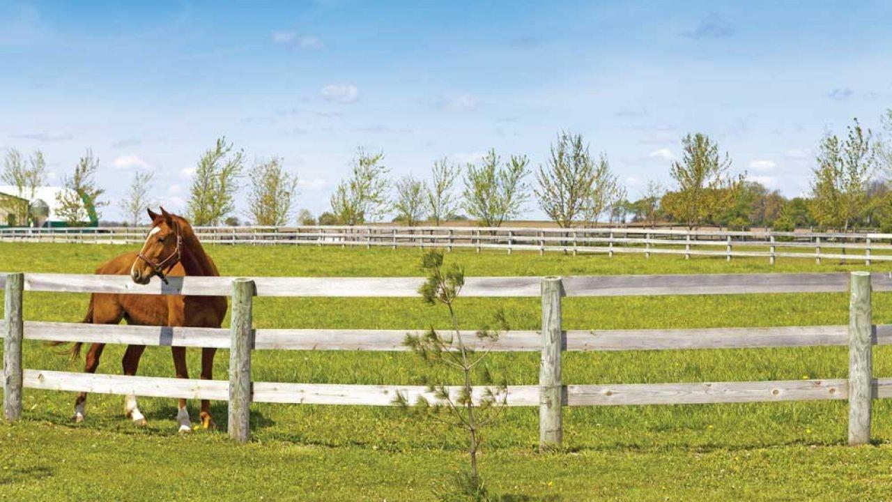 The Secret To Long Lasting Farm Fence PostsBlog Hub
