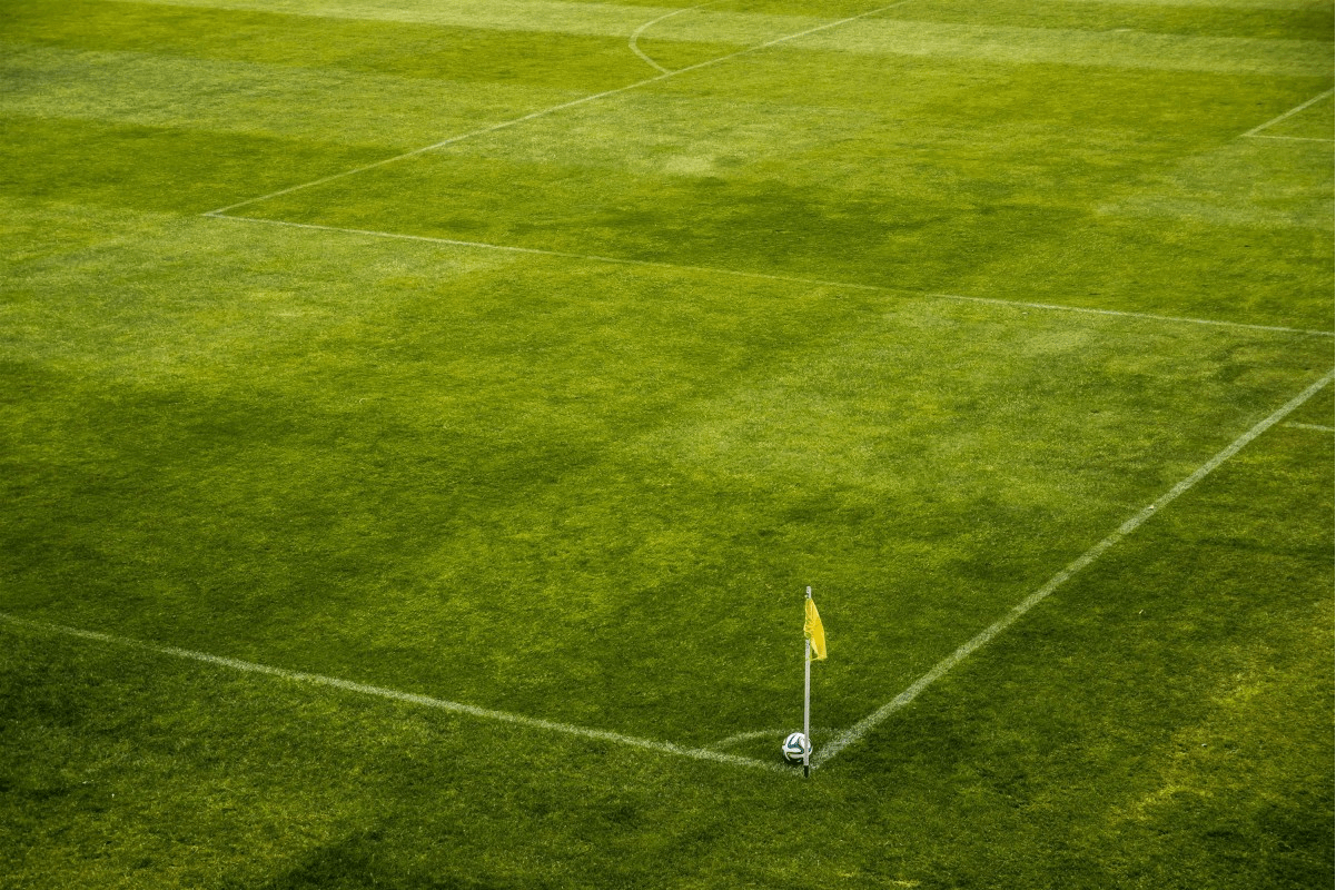 A Complete Guide To Artificial Turf: What It Is And Things To Know ...
