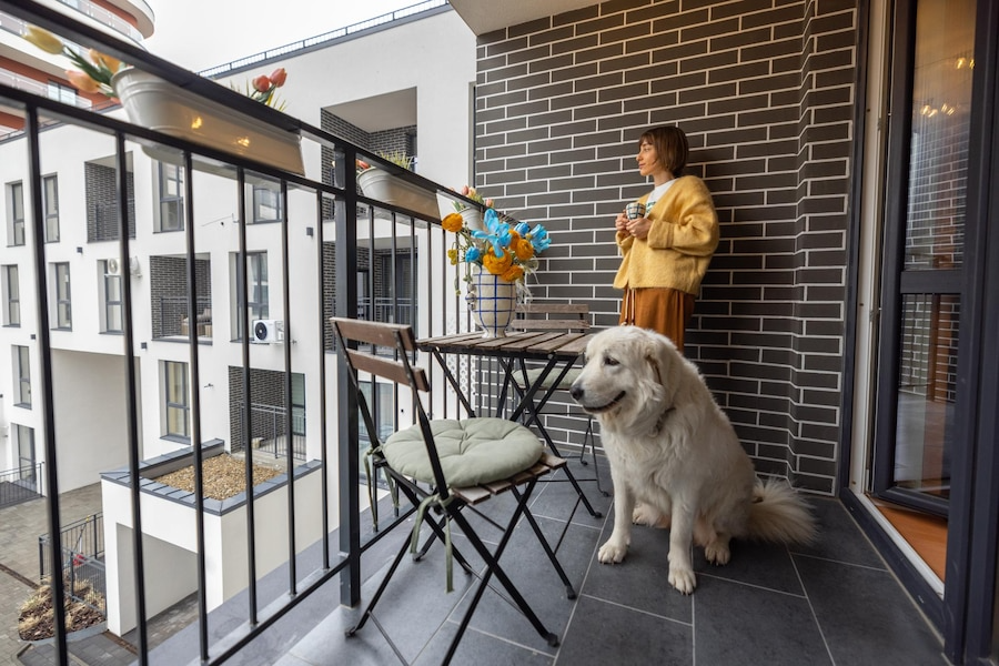 9 Pet-Friendly Building Designs: Creating Comfortable Spaces for Pets ...
